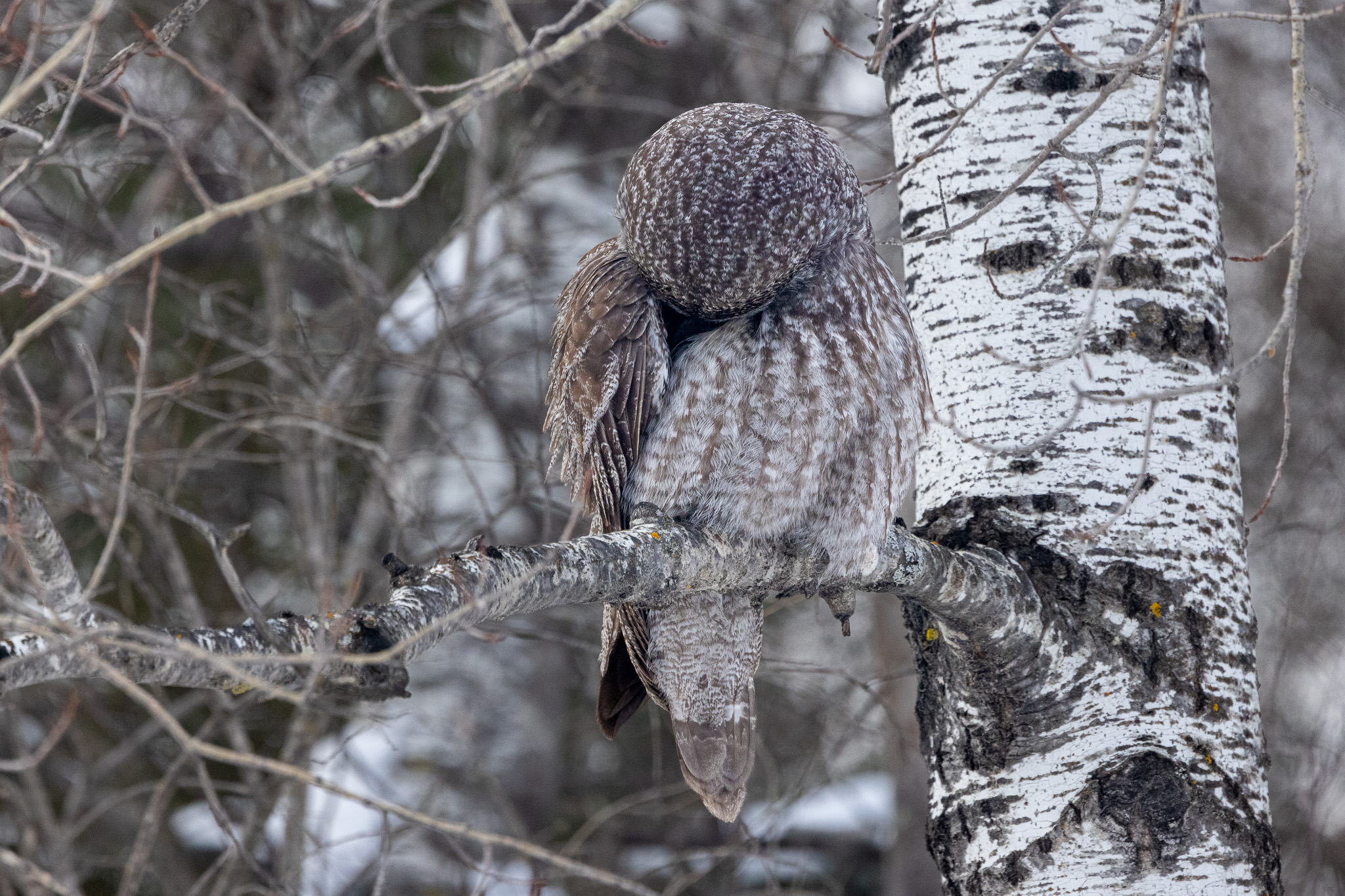 Prayer | Kent Jarrett Photography